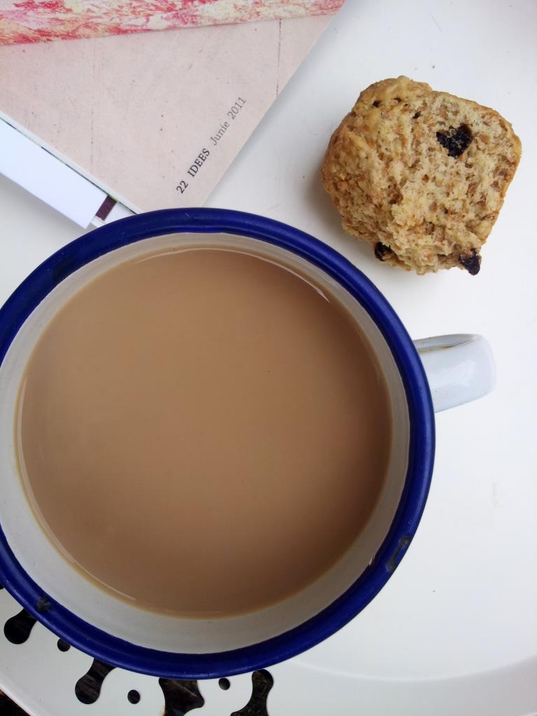 Buttermilk Rusks (Karringmelk Beskuit) at Christy Finch blog