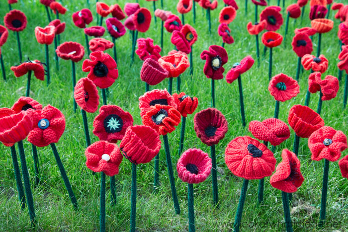 5000 Poppies at the Chelsea Flower Show ⋆ Look At What I Made